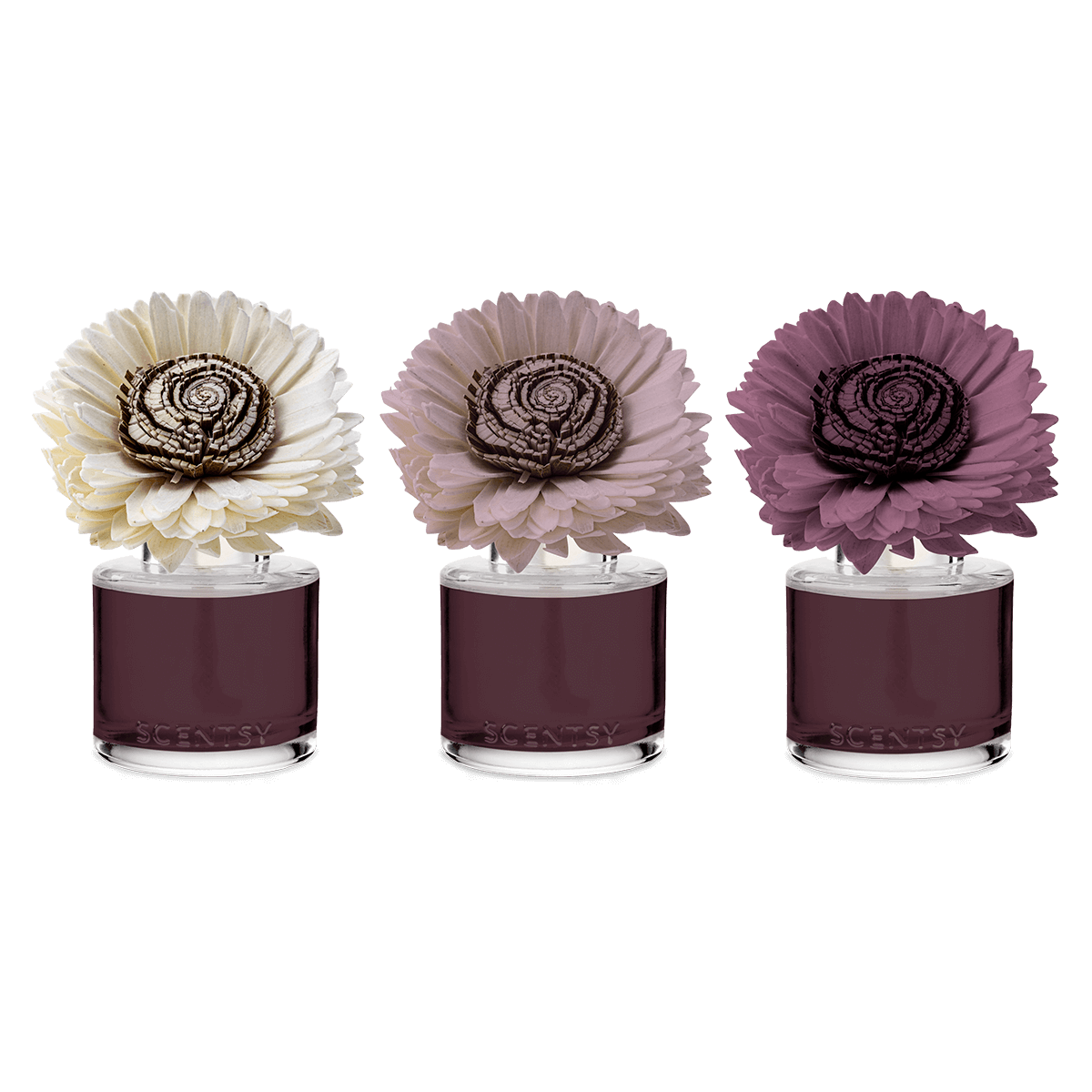 Berry Apple Shortbread Scentsy Fragrance Flower 2026