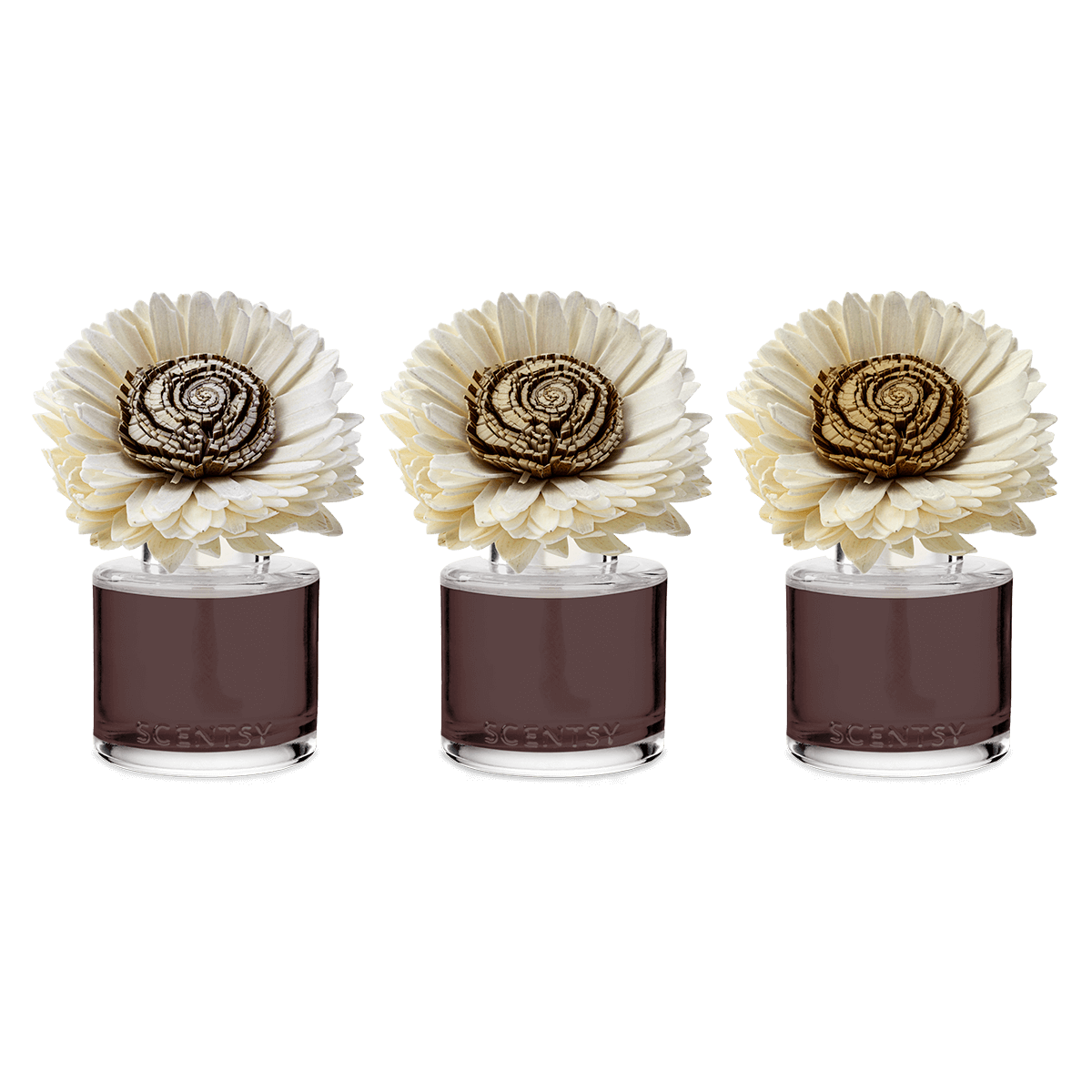 Cinnamon Woods Scentsy Fragrance Flower 2026