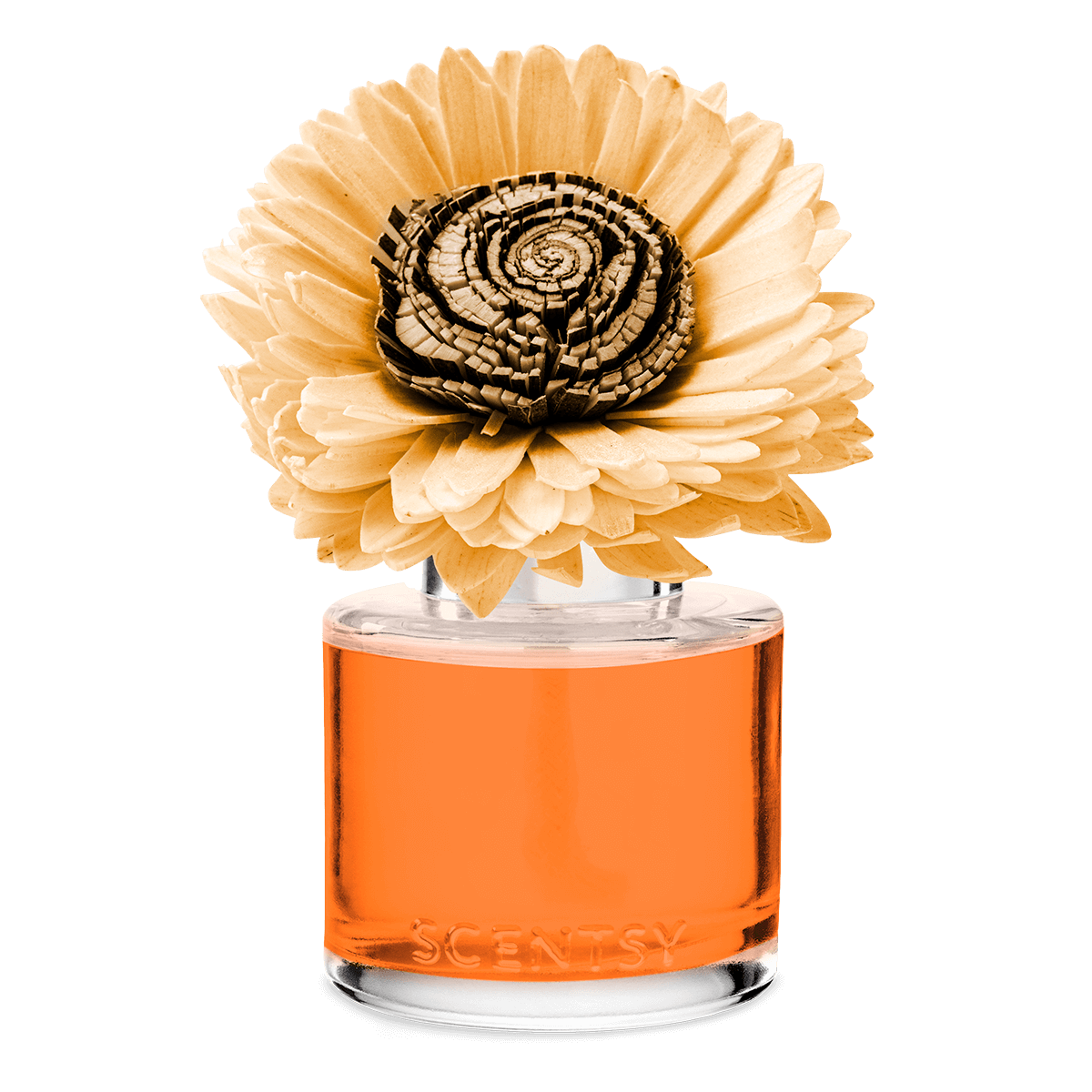 Sparkling Spiced Citrus Scentsy Fragrance Flower 2026