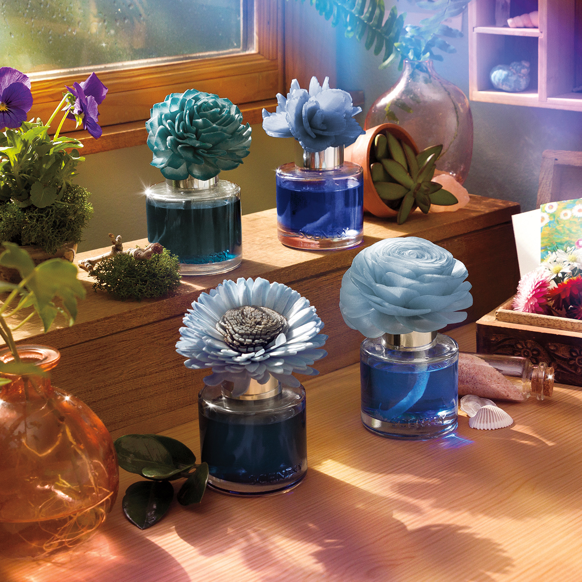 Discover the Scentsy Puddles & Petals Collection 2026