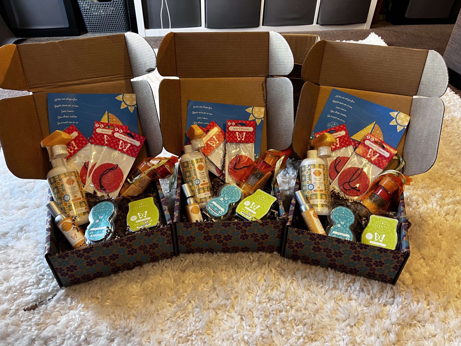 May 2025 Scentsy Whiff Box Sneak Peak 2025